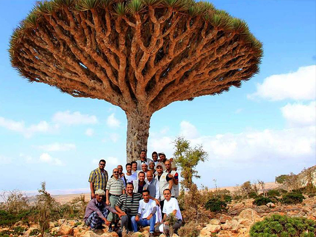 7 Days Yemen Tour Packages - GetExplore (2025)